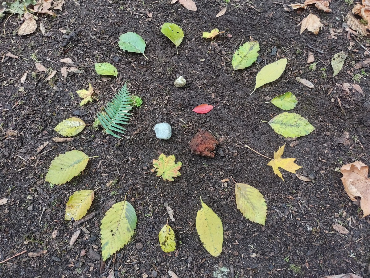 Pliking While Bathing – PLIKING