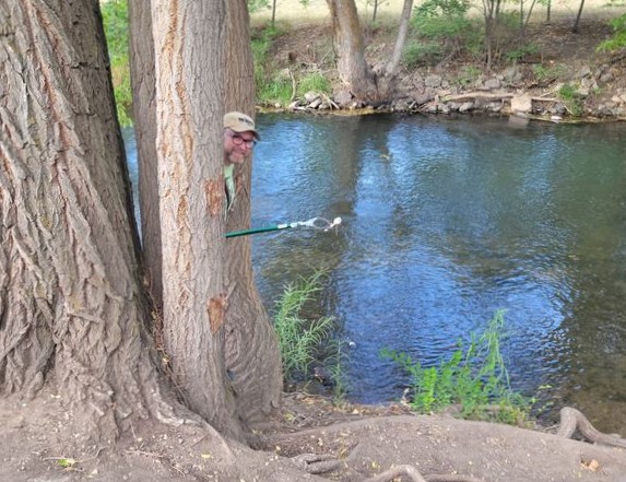 Pliking 2022 – PLIKING